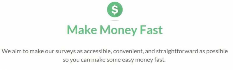 Is Mintvine a Scam? – Here Is My Opinion After Reviewing +50 Survey ...